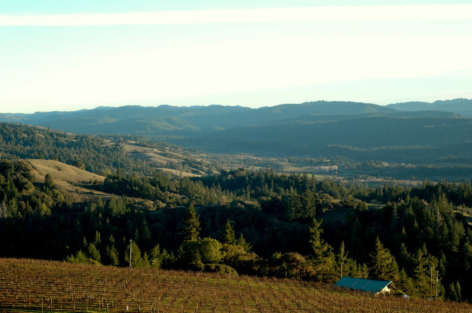 Anderson Valley – Lyndhurst Wine